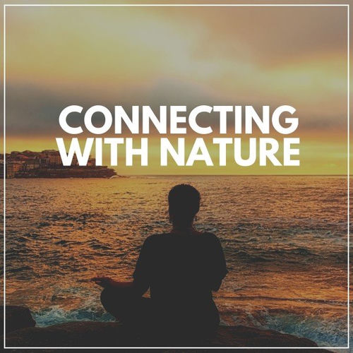 Connecting with Nature by Natural Sound Makers - Reviews & Ratings on ...