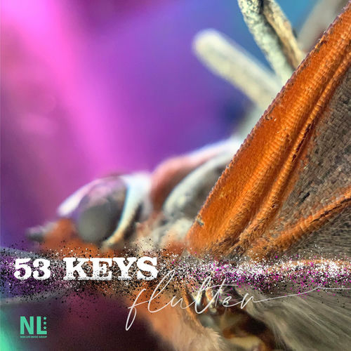 Flutter By 53 Keys Reviews And Ratings On Musicboard