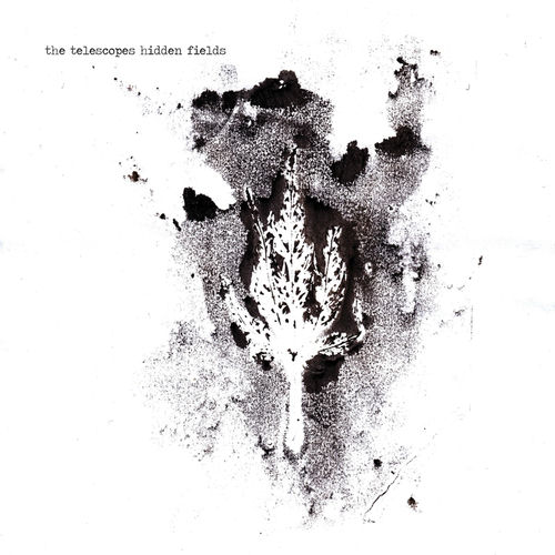 Hidden Fields by The Telescopes - Reviews & Ratings on Musicboard Hidden Fields by The Telescopes - Reviews & Ratings on Musicboard