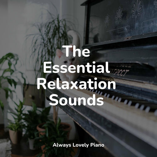 The Essential Relaxation Sounds by Wolfgang Amadeus Mozart - Reviews ...