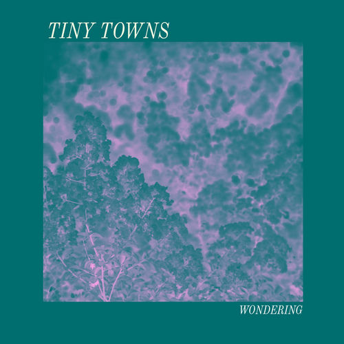 Wondering By Tiny Towns Reviews And Ratings On Musicboard