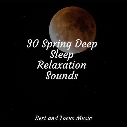 30 Spring Deep Sleep Relaxation Sounds By Spa Zen Reviews And Ratings