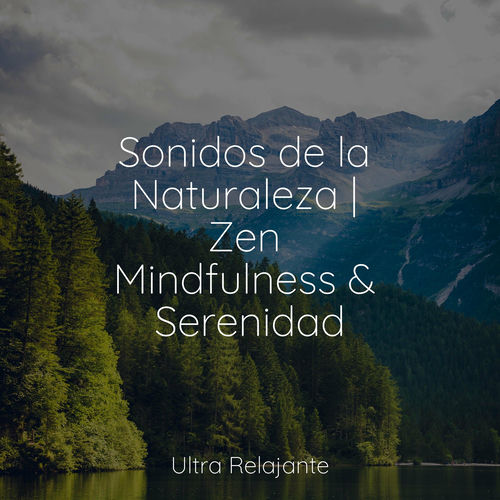 Sonidos De La Naturaleza Zen Mindfulness And Serenidad By Canciones