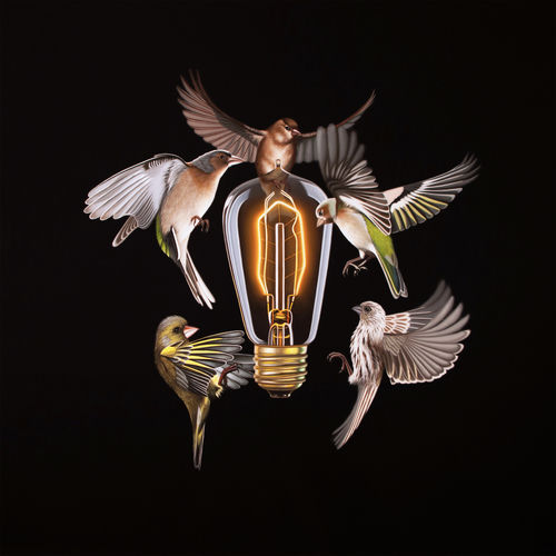 Entropy by The Collection - Reviews & Ratings on Musicboard